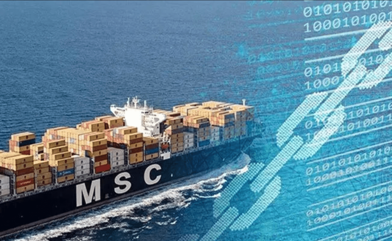 Global Shipping Giant MSC Announces Halt in Voyages! - Saycan